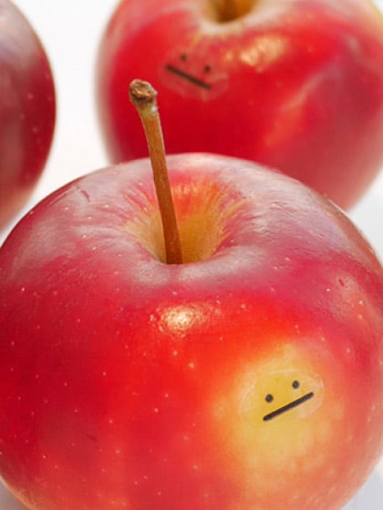 ビューティフルシャドー15thアニバーサリー｜グラニフ(graniph)公式オンラインストア