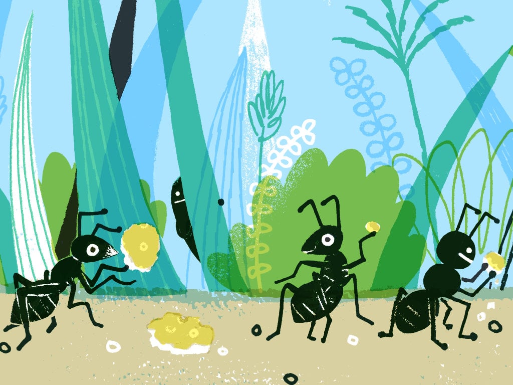 グラニフのえほん ビューティフルシャドーのかくれんぼ｜グラニフ公式オンラインストア