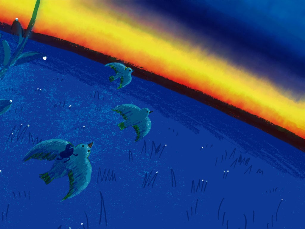 グラニフのえほん ビューティフルシャドーのかくれんぼ｜グラニフ公式オンラインストア